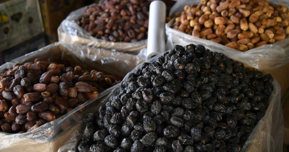 Visit the Date Farms Around Madinah
