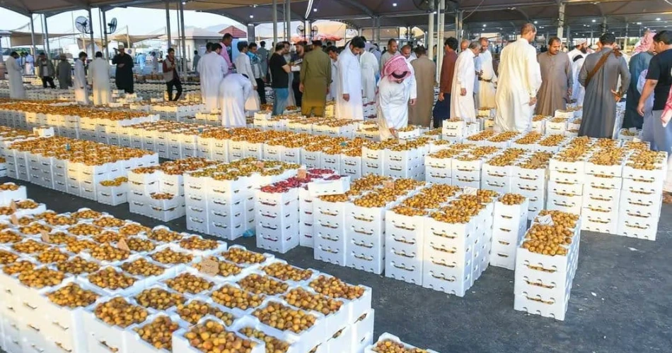 Visit the Date Farms Around Madinah